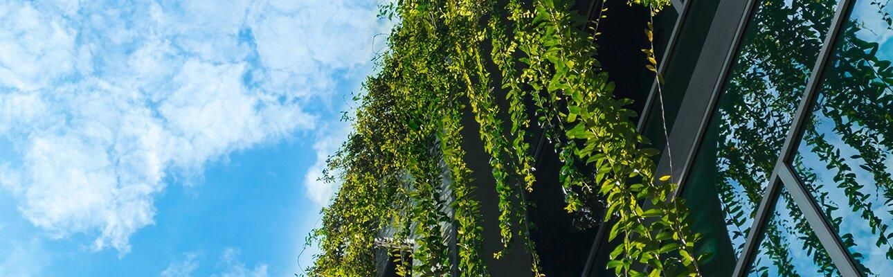 Overzicht ESG-interviews | Advocatenkantoor in Nederland | CMS.law