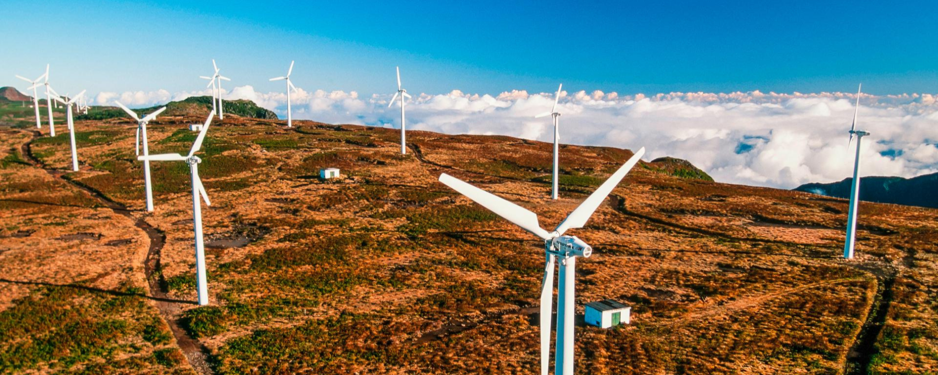 Energy & Climate Change Insight | CMS Portugal