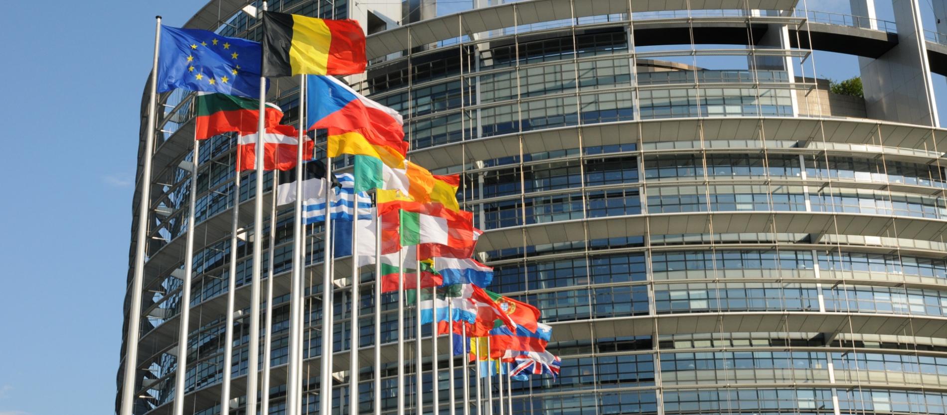 Plastics and packaging laws in the European Union | CMS Expert Guide