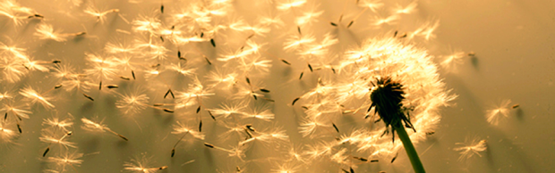 Erik Vorst | Managing Partner/Notaris | Corporate/M&A | CMS.law