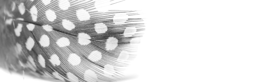 Over CMS | Algemene Informatie